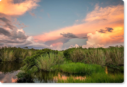 Visitor Information for Florida Everglades - Everglades tours ...